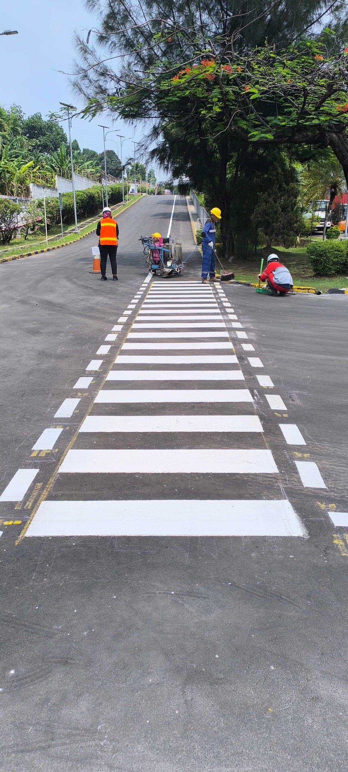 JASA PENGECATAN MARKA ZEBRA CROSS - Lintas Marka